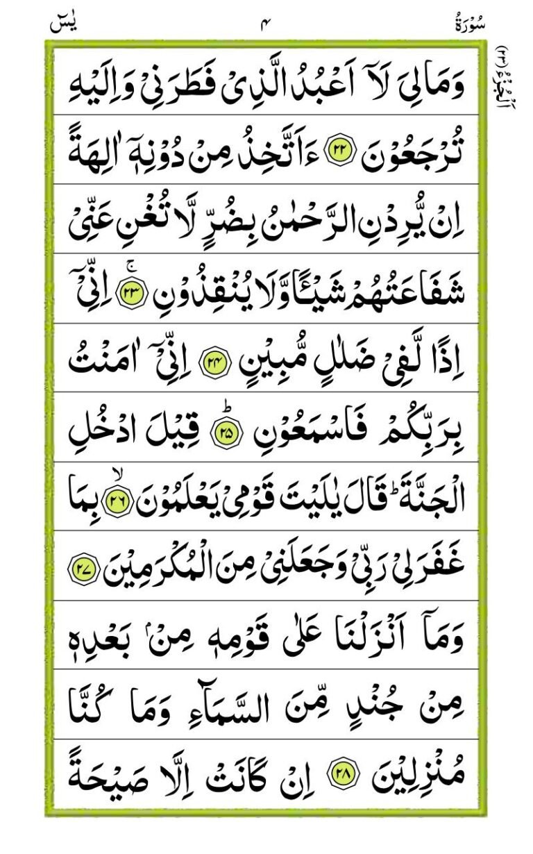 Surah Yaseen - QURAN411