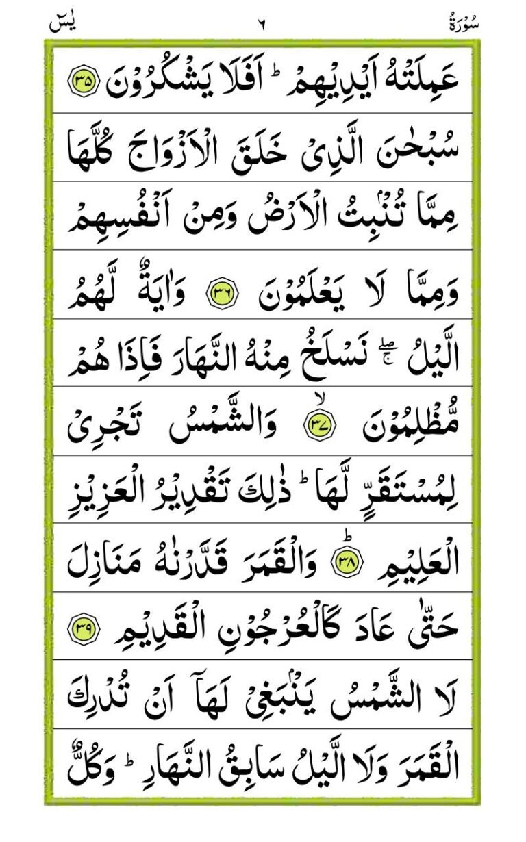 Surah Yaseen - QURAN411