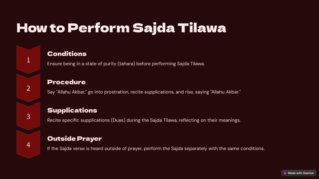 how many sajda in quran | List of the 14 Sajdah Tilawat - QURAN411