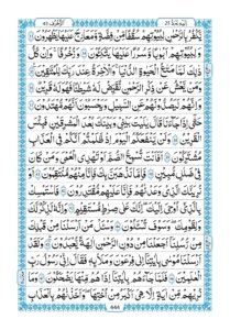 para 25 pdf | [PDF] Quran Juz (Para) 25 - QURAN411